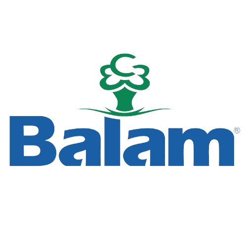 League of Greats | Great Place to Study.